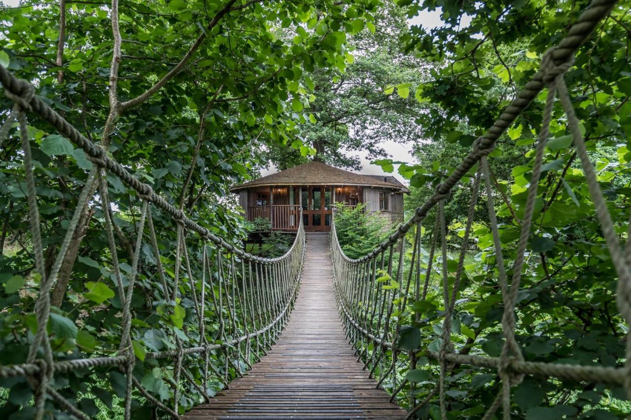 TOP 20 Treehouse Rentals in Europe For Your Bucket List (2022 Edition)