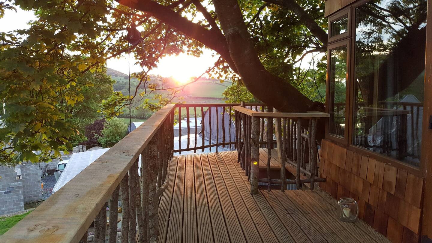 Top 15 Unique Treehouse Rentals in Ireland - Treehouse Trippers