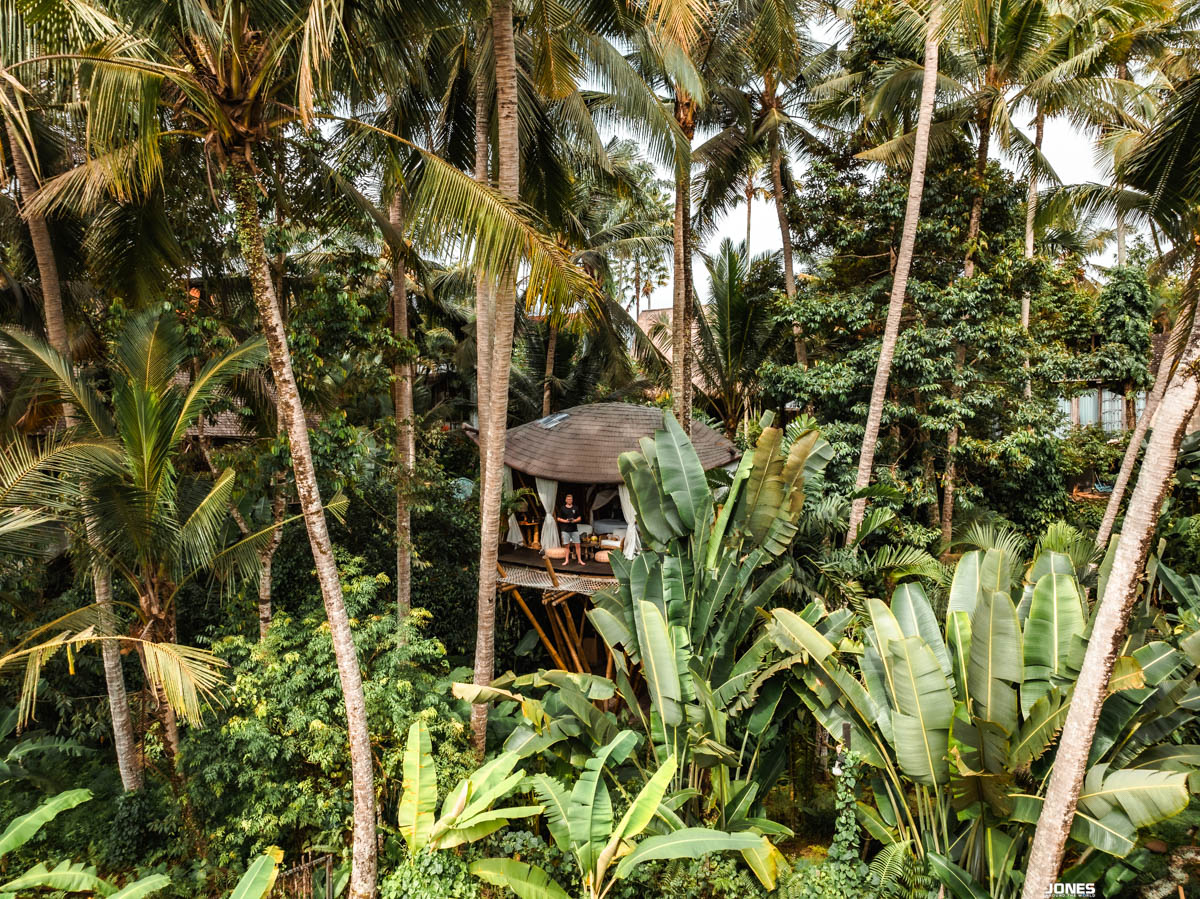 About Me - Treehouse Trippers